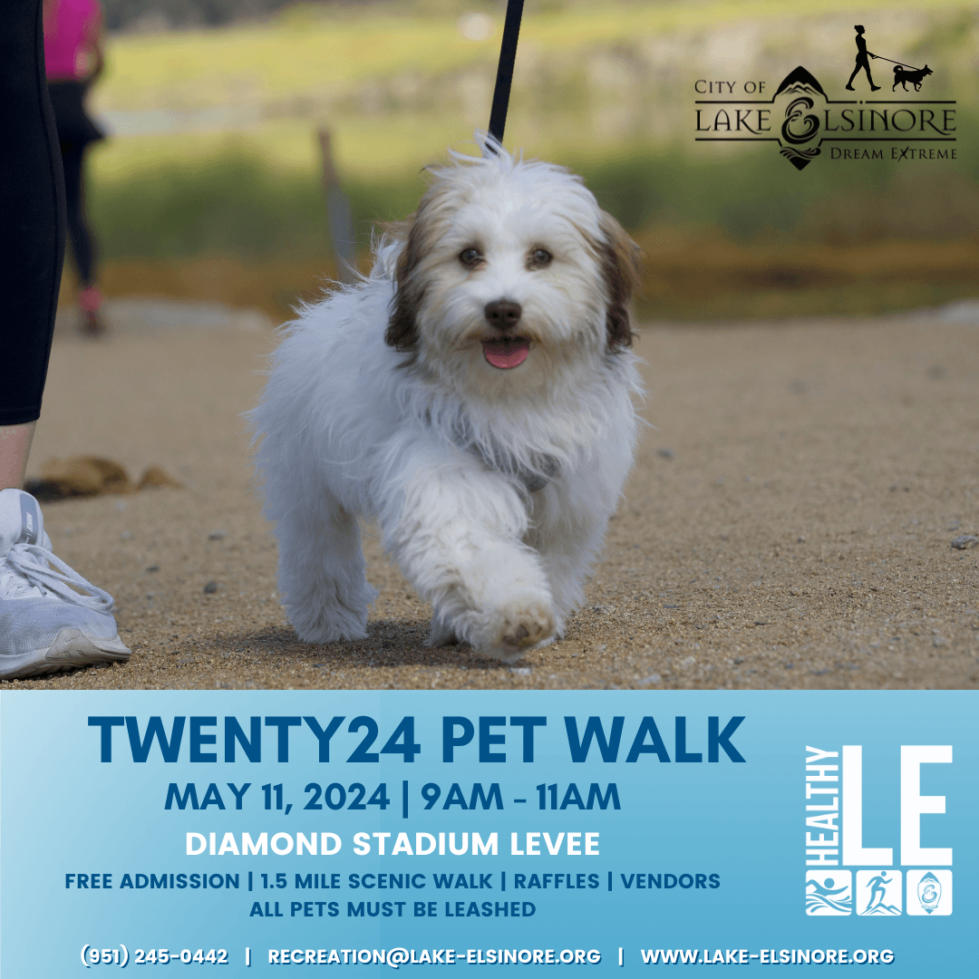 Calendar • Twenty24 Pet Walk